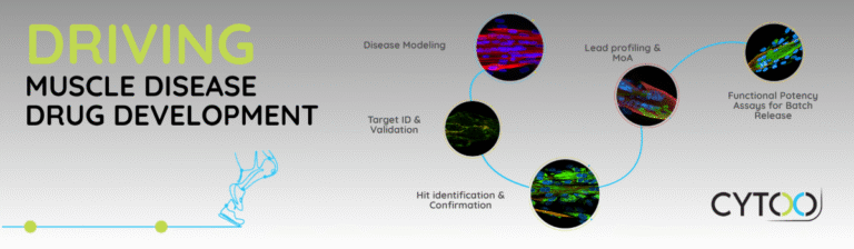 Pioneering Muscle Pathology Modeling for Drug Discovery - cytoo.com